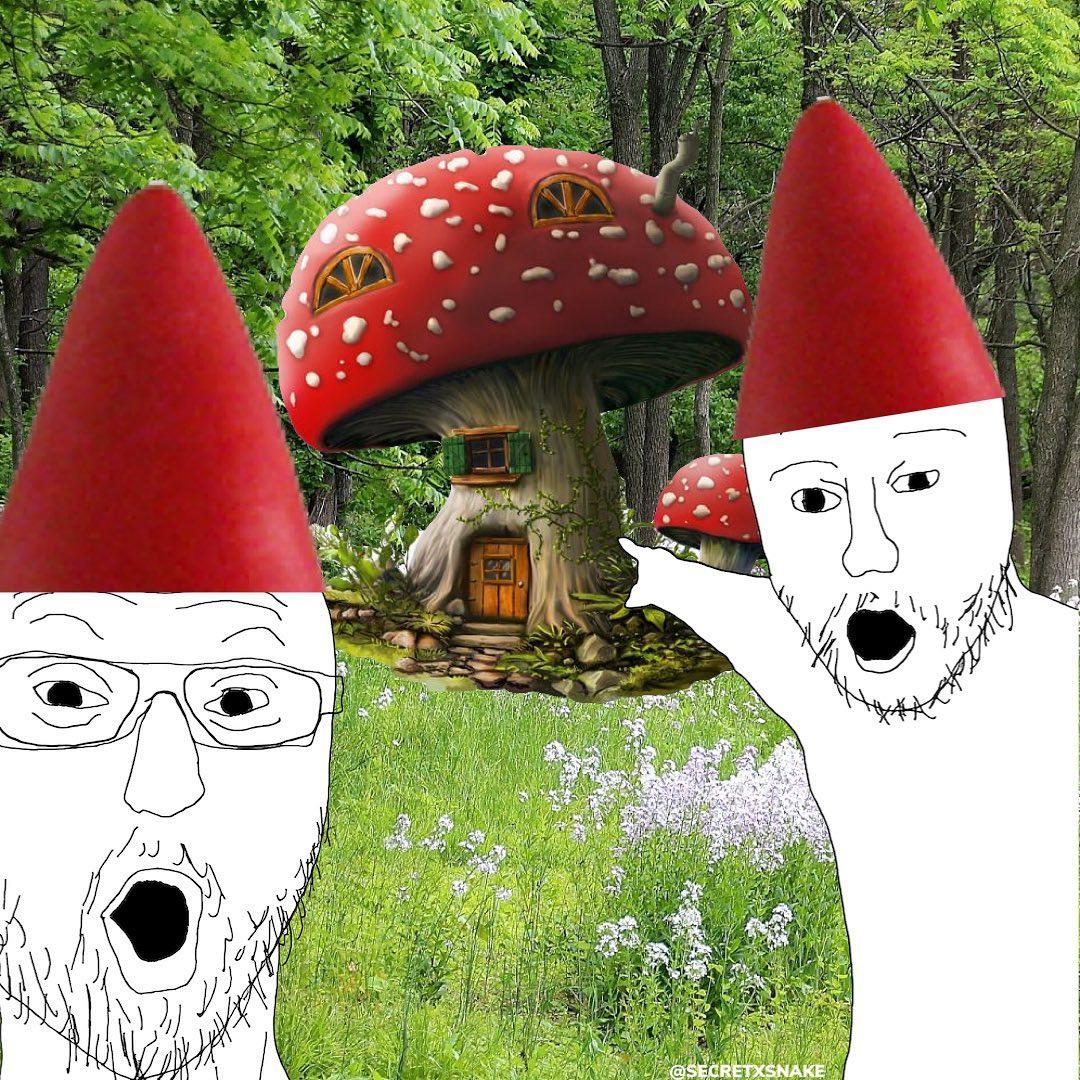 Shroomer's House | Gnomepill | Know Your Meme