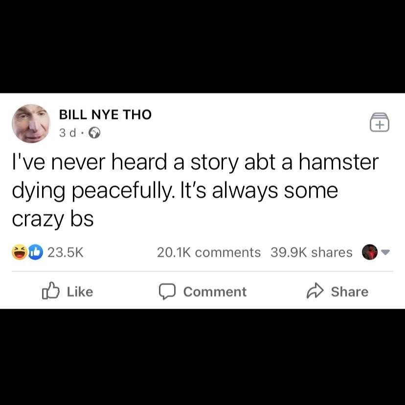 Hamster Death (meme) | Hamster Death Stories | Know Your Meme