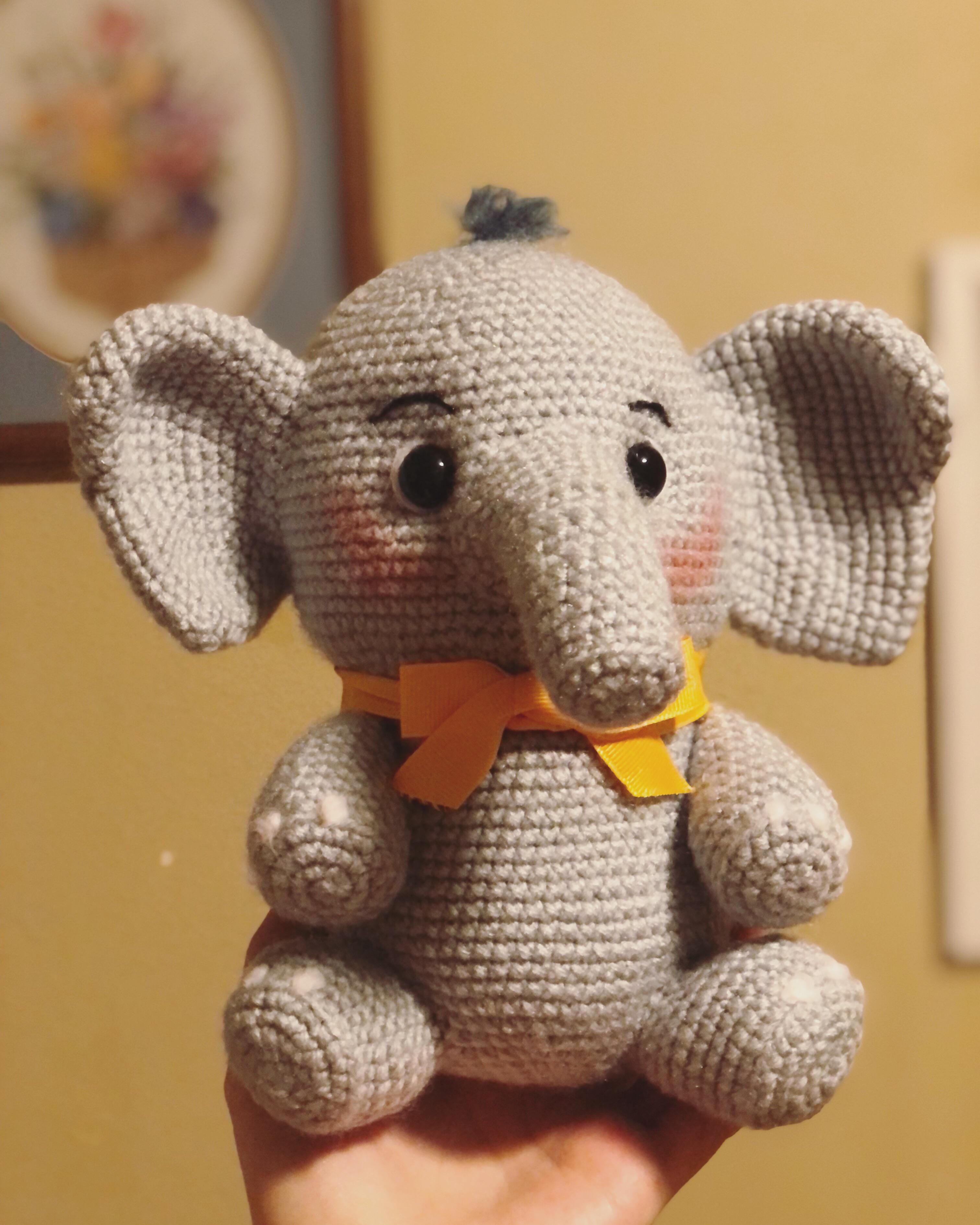 Peanut Jr is a little bashful; not one for the spotlight, so pardon the ...