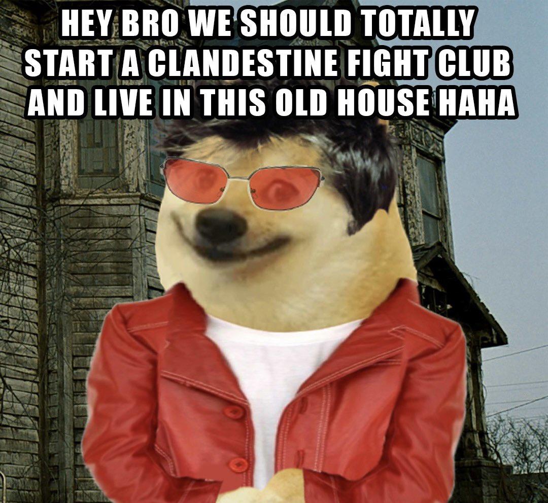 Hey Bro We Should Totally Start a Clandestine Fight Club | Ironic Doge ...