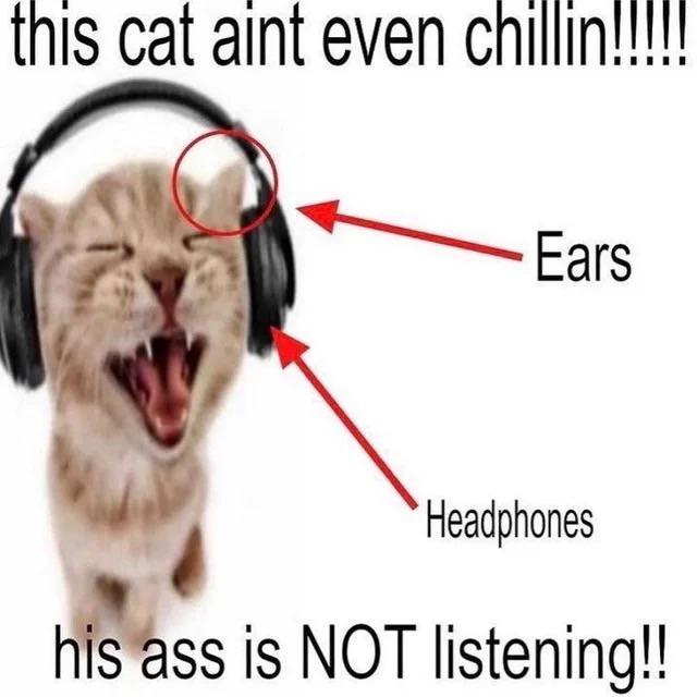 His Ass Is NOT Listening r okbuddyretard OkBuddyRetard Know Your His Ass Is NOT Listening r okbuddyretard OkBuddyRetard Know Your