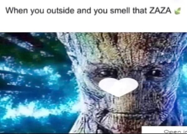 When You Outside And You Smell That Zaza | When You Outside And You ...