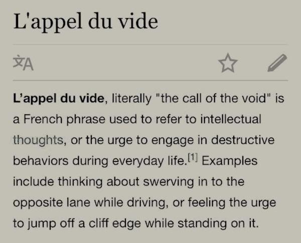 The Void Yeet | This Bitch Empty! Yeet! | Know Your Meme