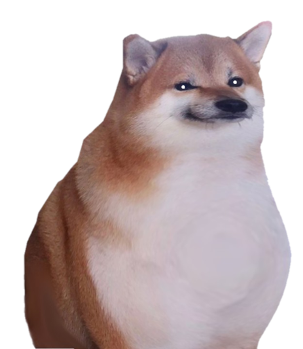 le wacky eye cheebs has arrived | /r/dogelore | Ironic Doge Memes ...