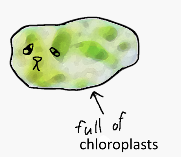 Full of Chloroplasts | Full of Milk | Know Your Meme