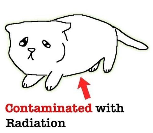 Contaminated with Radiation | Full of Milk | Know Your Meme