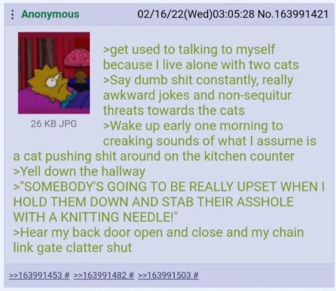 Anon has cats | /r/Greentext | Greentext Stories | Know Your Meme