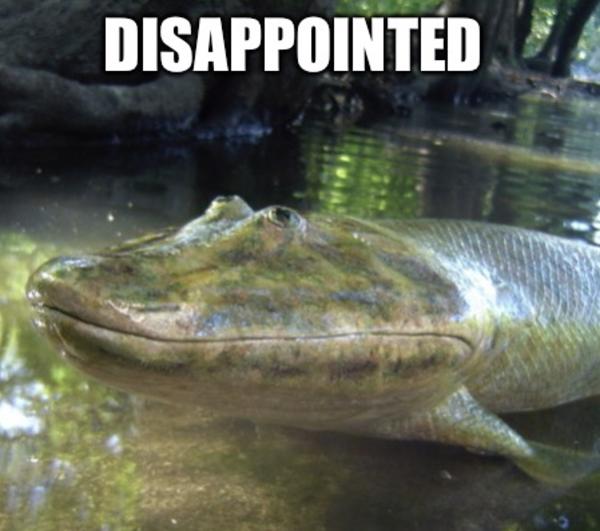 Disappointed tiktaalik | Animals | Know Your Meme