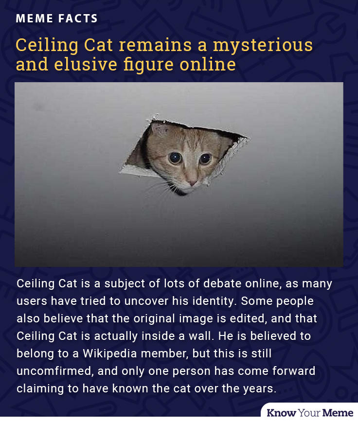 Ceiling Cat | Know Your Meme