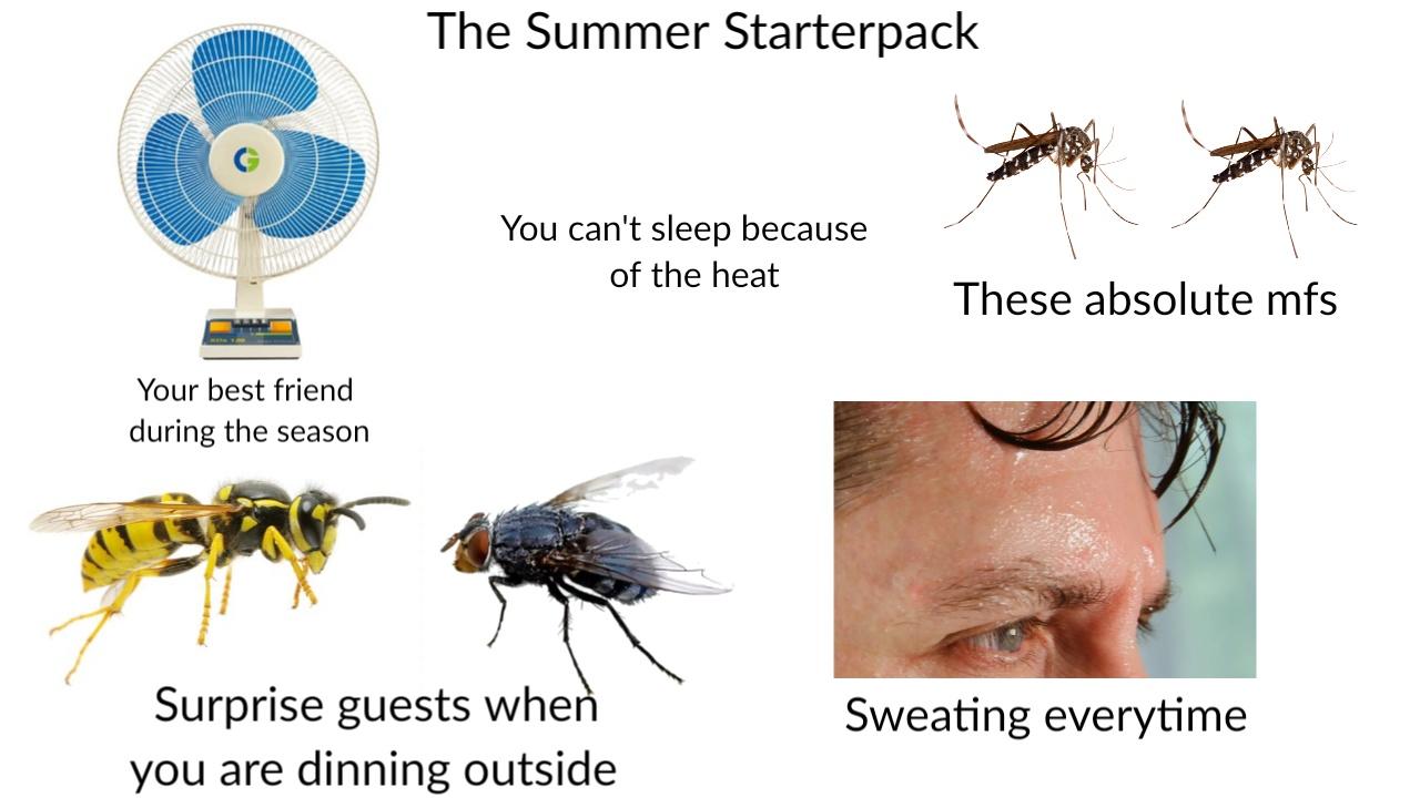 The summer starterpack | /r/starterpacks | Starter Packs | Know Your Meme