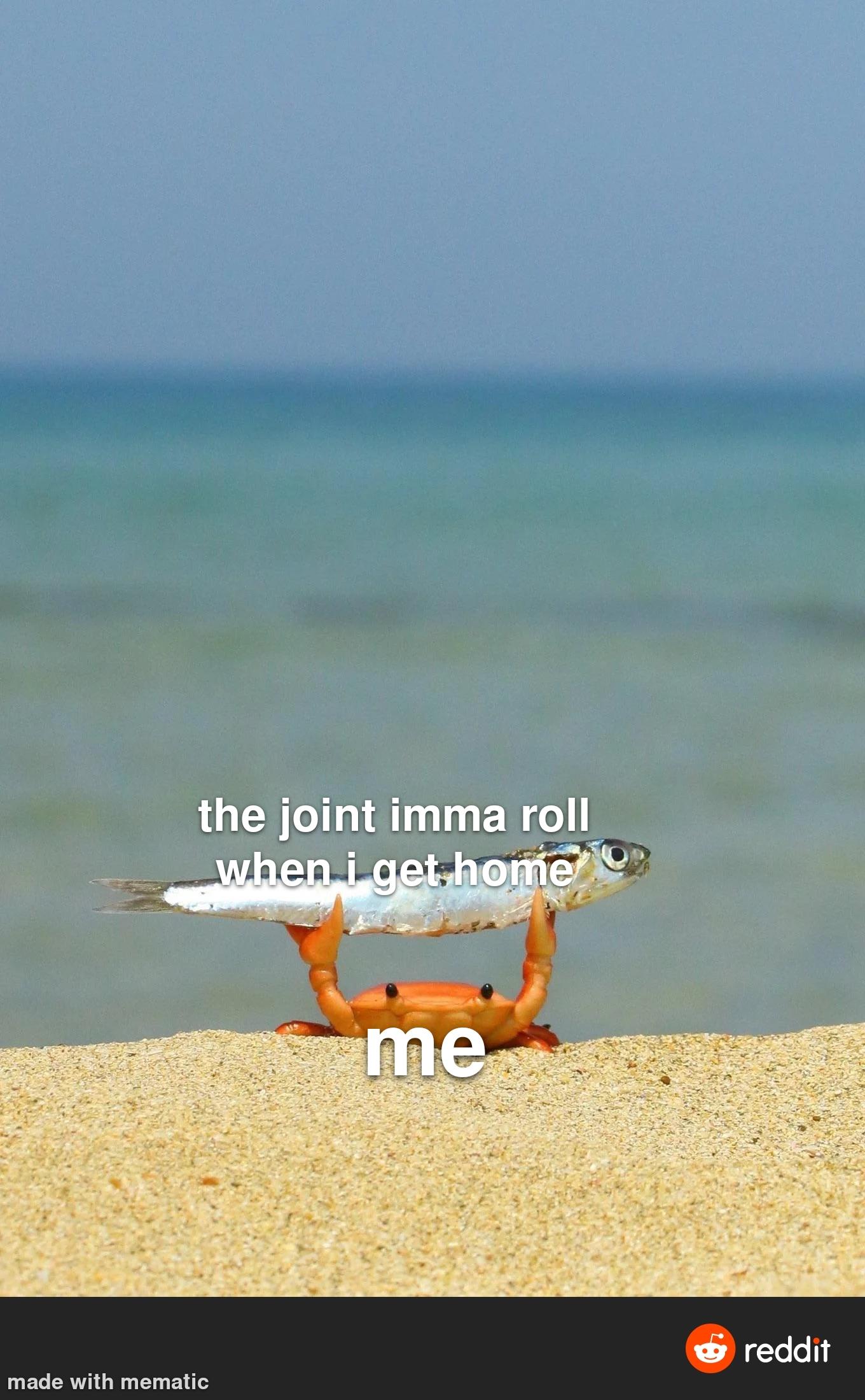Crab Holding Up a Joint | Crab Holding Up a Fish | Know Your Meme