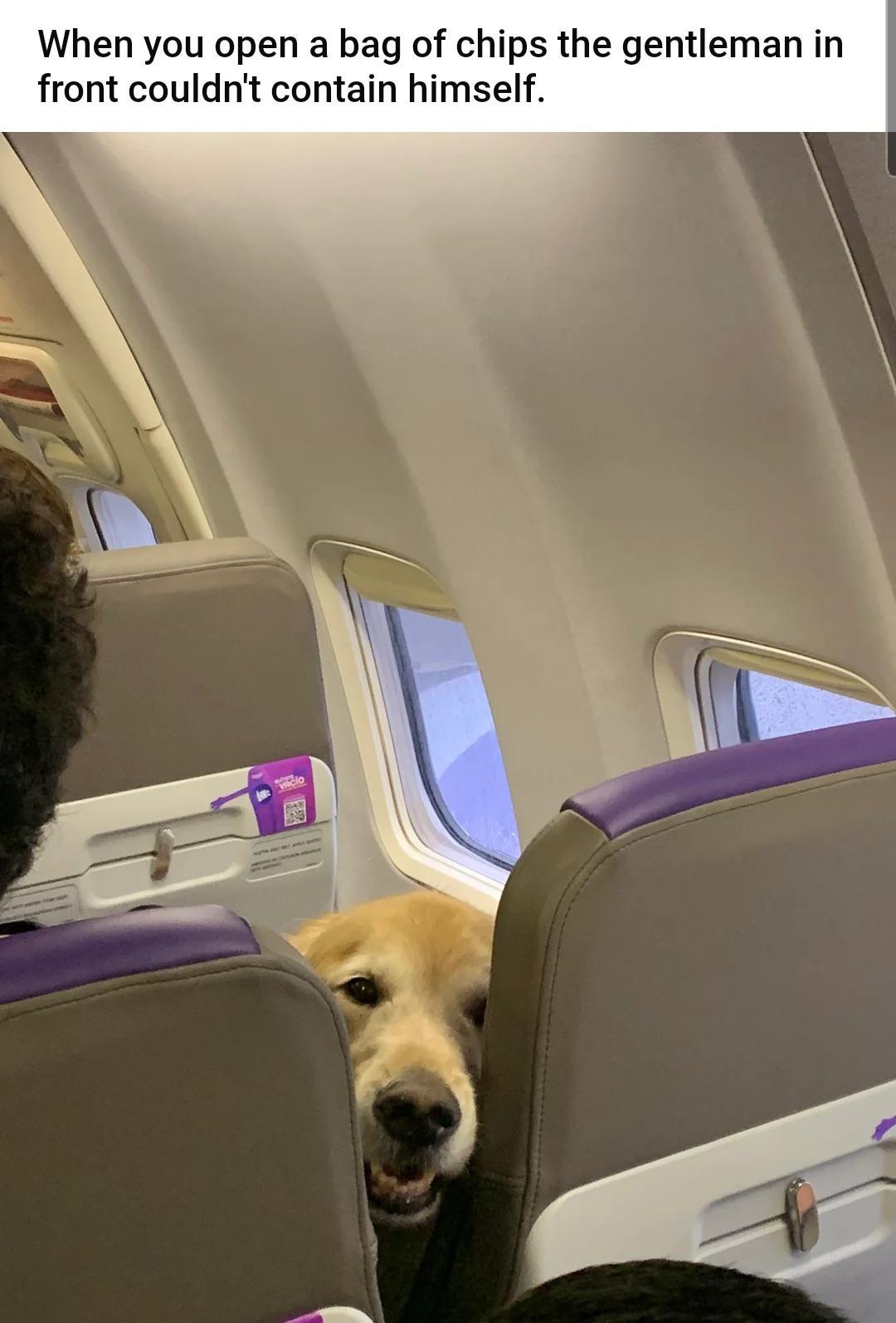 Please only one bite | /r/wholesomememes | Wholesome Memes | Know Your Meme