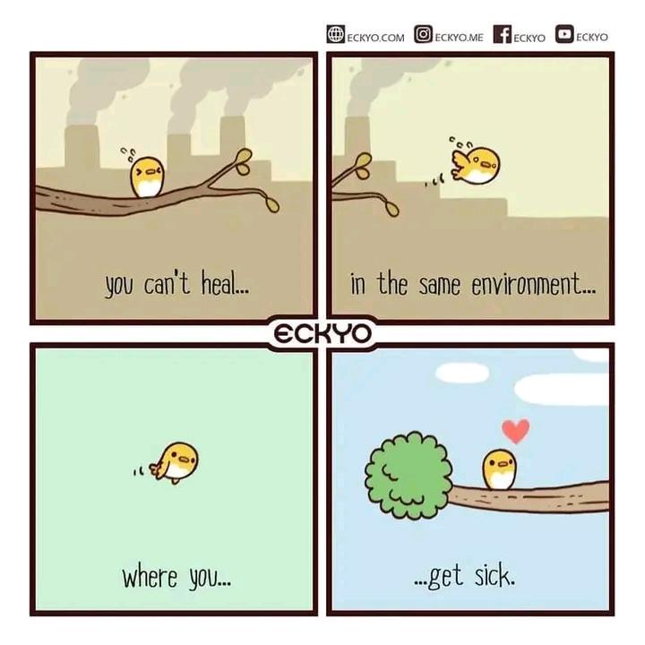 Sometimes only thing you need is some change | /r/wholesomememes ...