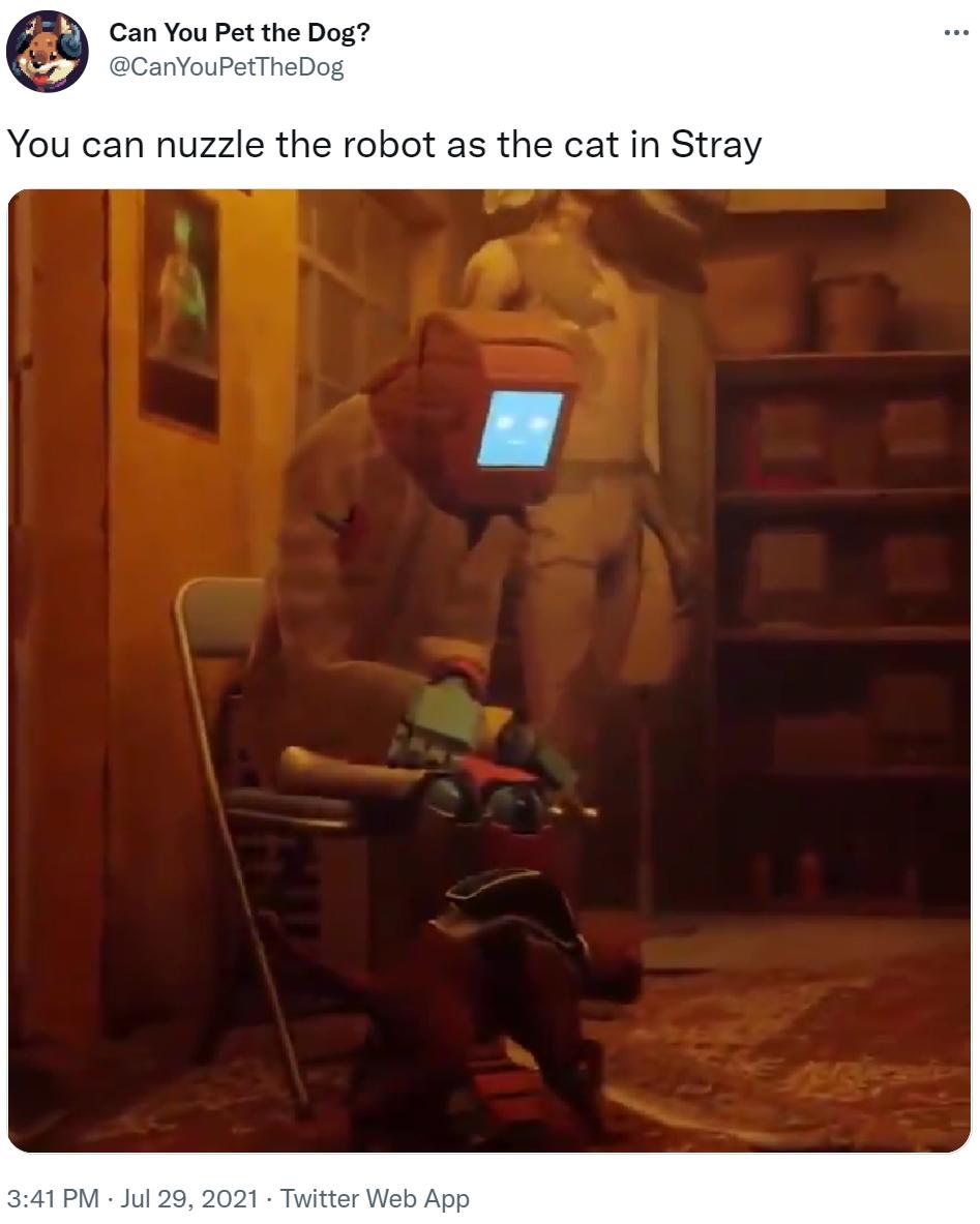 You can nuzzle the robot as the cat in Stray | Stray (Video Game ...
