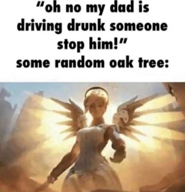 Thank You Oak Tree | /r/dankmemes | Know Your Meme