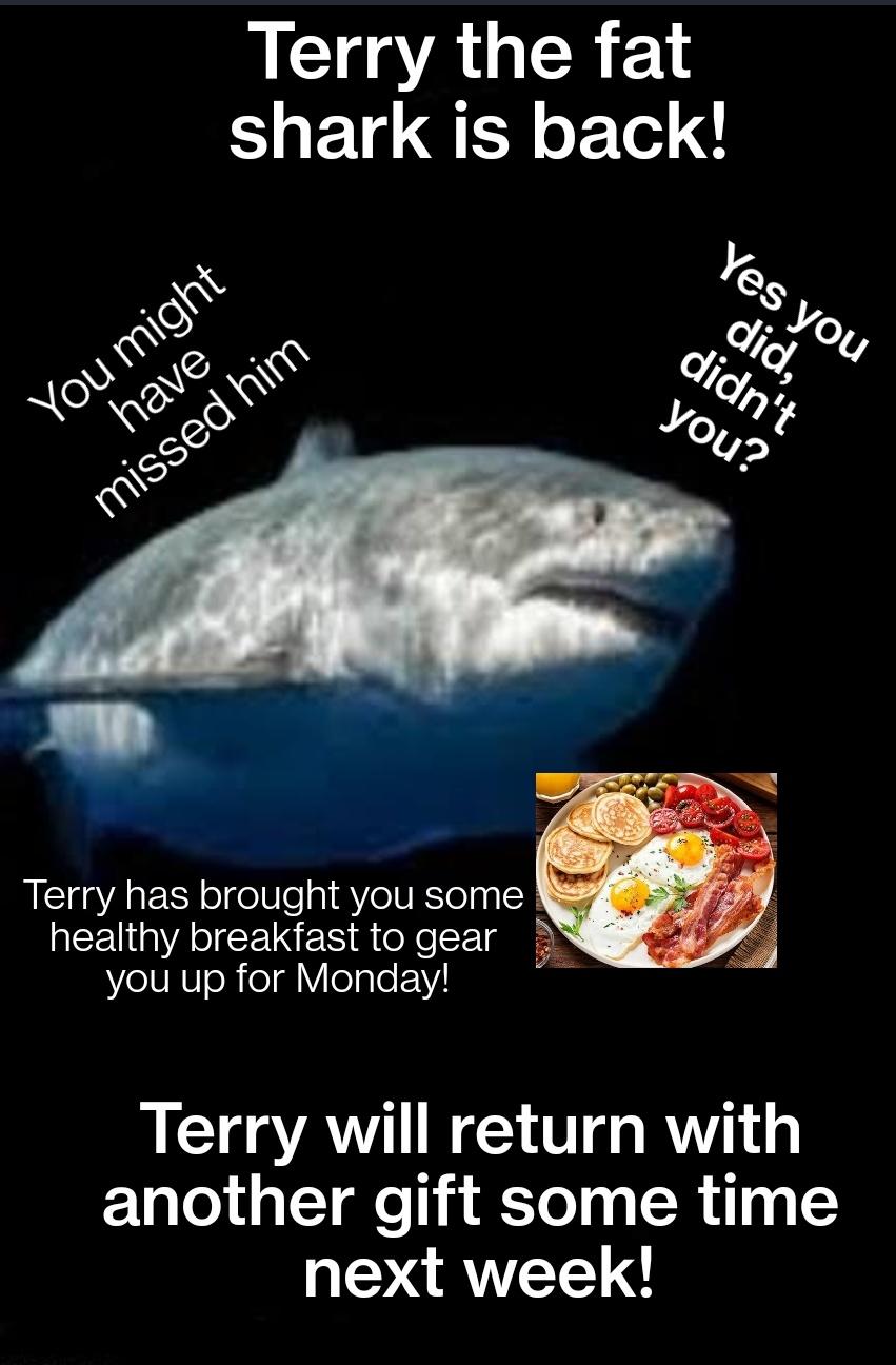 Invest in Terry (OC) | /r/MemeEconomy | Terry The Fat Shark | Know Your ...