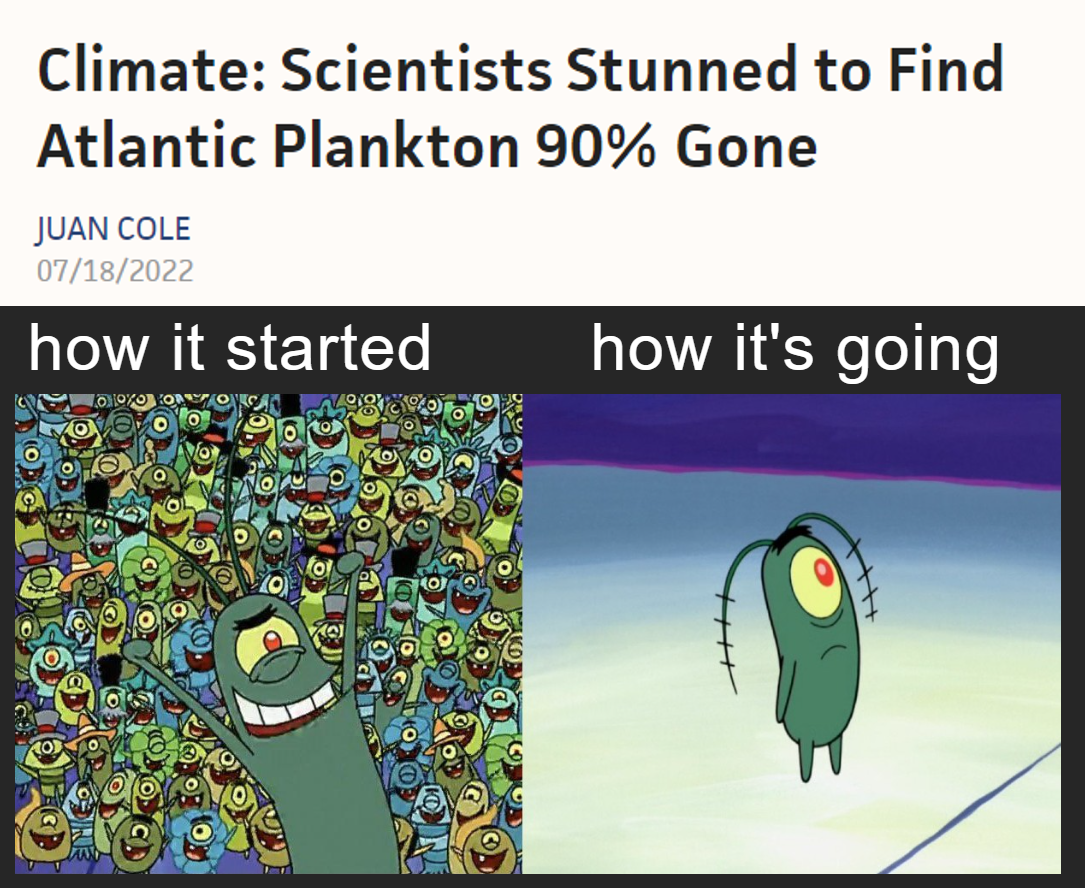 Goodbye plankton | SpongeBob SquarePants | Know Your Meme