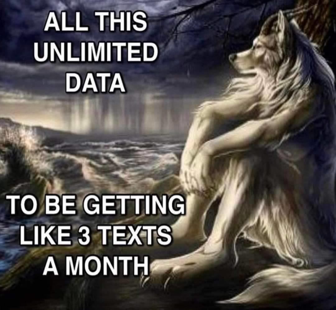 Lobo Solitario Wolf Sitting Meme Lobo Solitario Sitting Wolf 