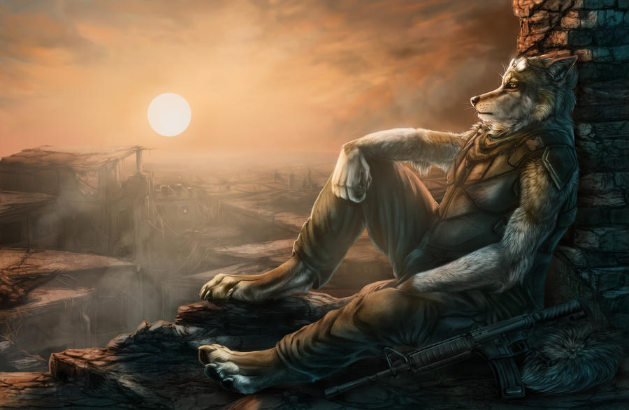 Other Wolf Sitting Meme Wolf Memes Lobos Con Frases Sitting Wolf 