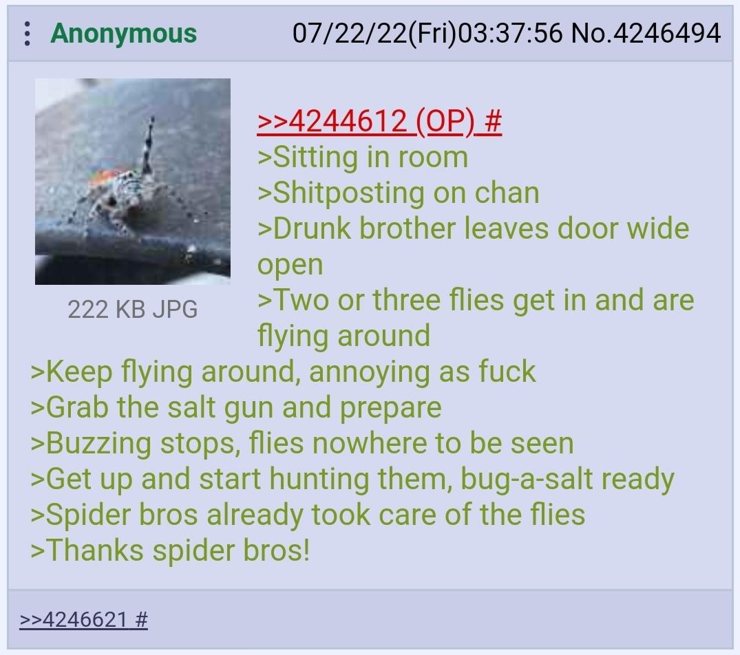 Spiderbro saves the day | /r/Greentext | Greentext Stories | Know Your Meme