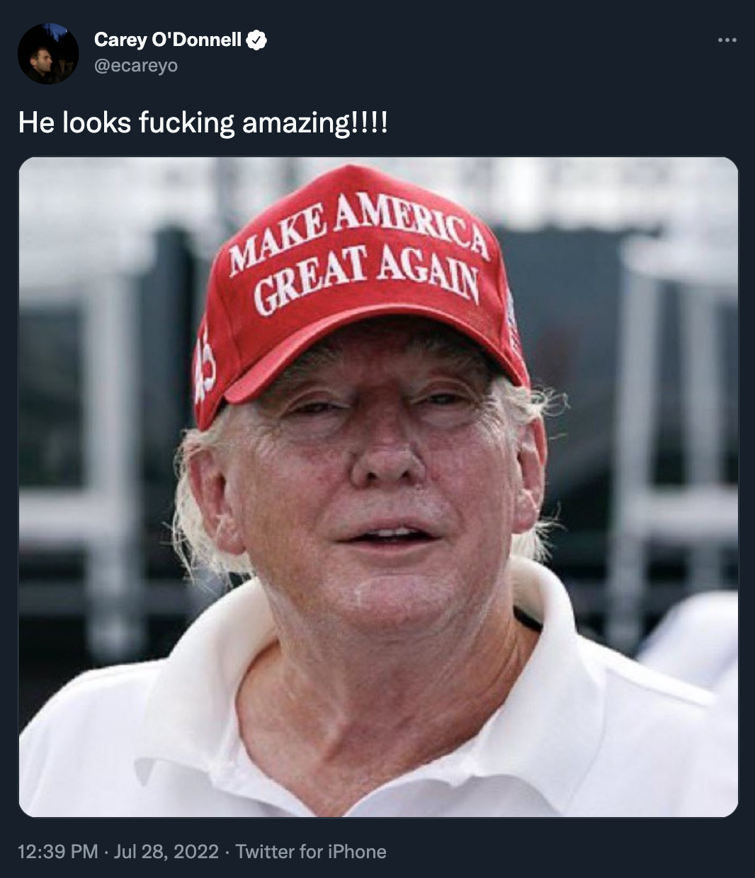 Donald Trump Without Makeup Meme | Donald Trump Without Makeup Photo ...