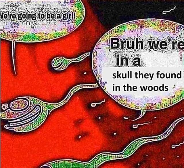 Oh No... | Know Your Meme