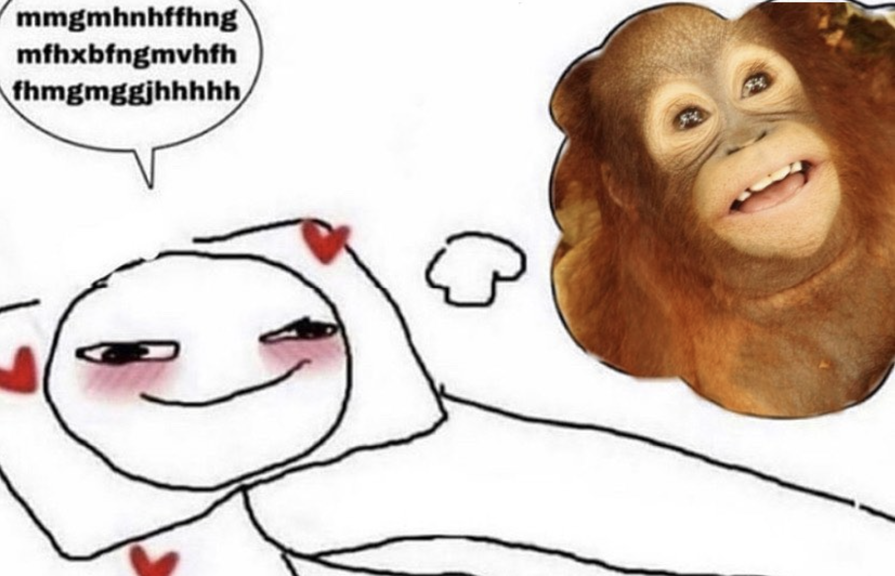 Maurice Monkey Orangutan Meme | Maurice | Know Your Meme