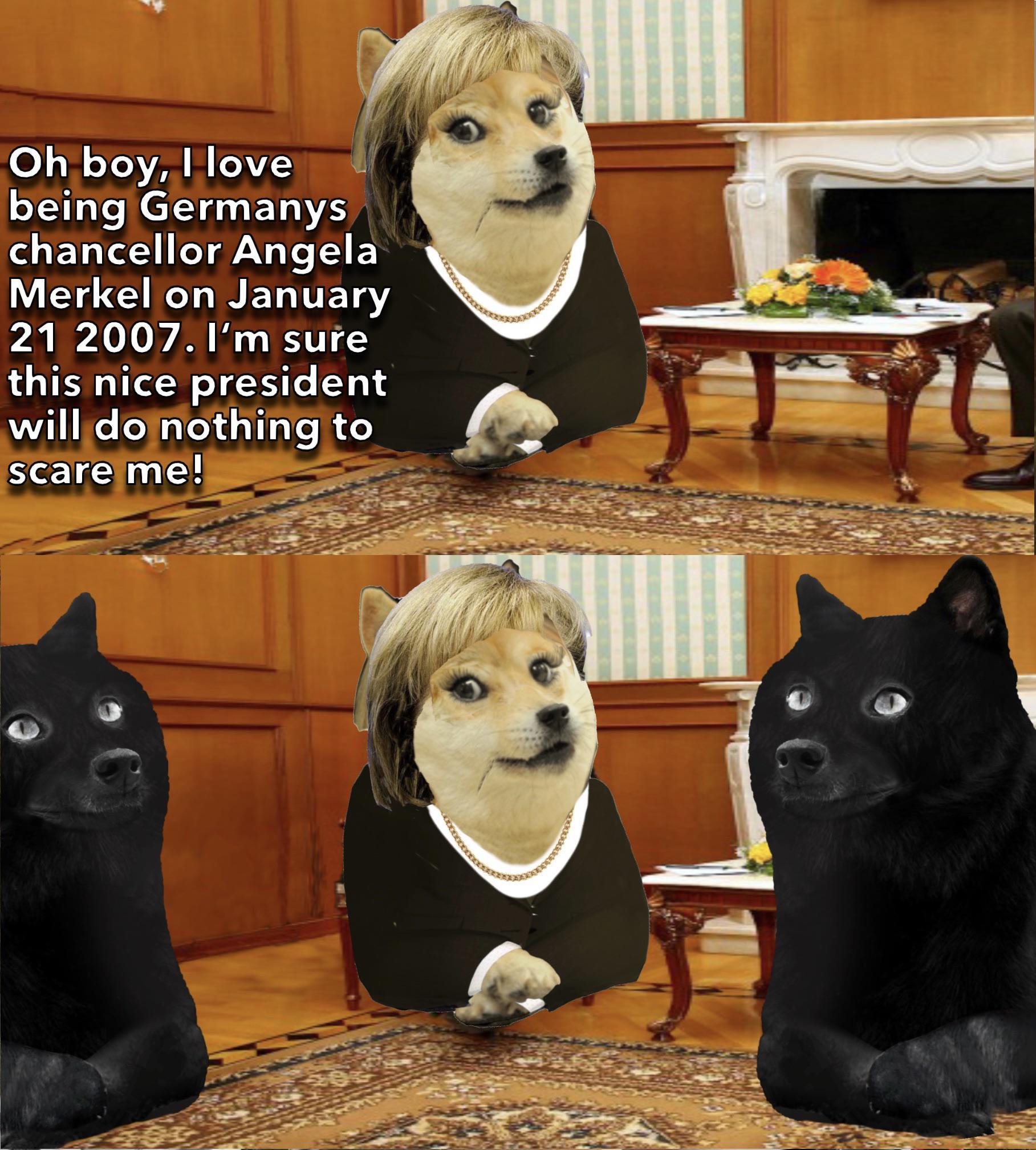 Le 2007 dog incident has arrived | /r/dogelore | Ironic Doge Memes ...
