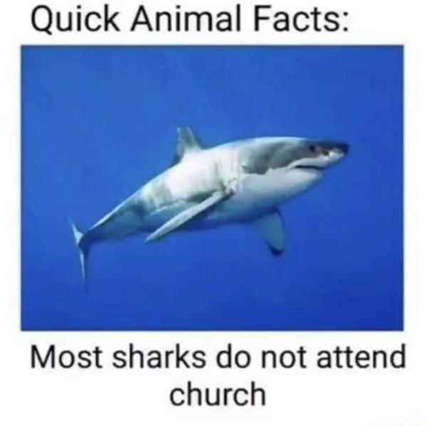 Godless Fish | Know Your Meme