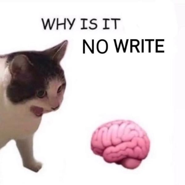 why is it no write | Why Is It Empty? | Know Your Meme