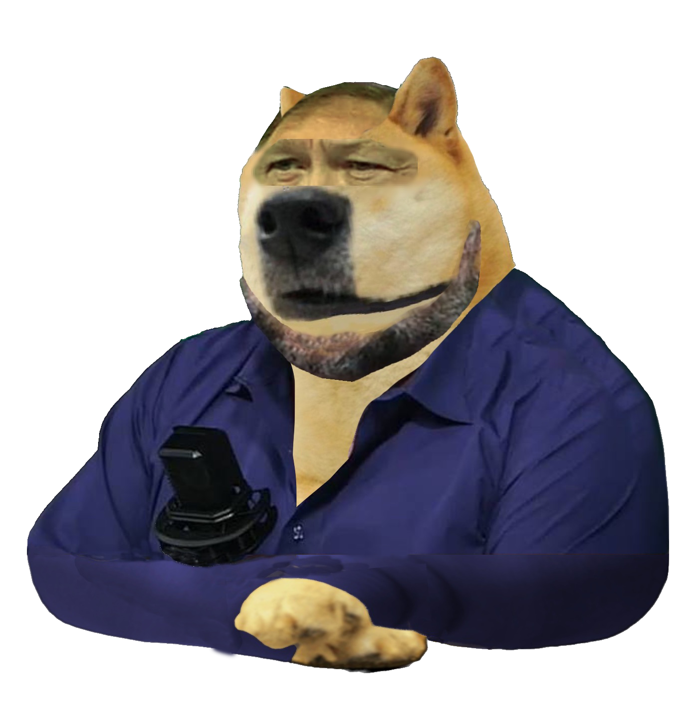 Le Alex Jones as Dogelore character has arrived | /r/dogelore | Ironic ...