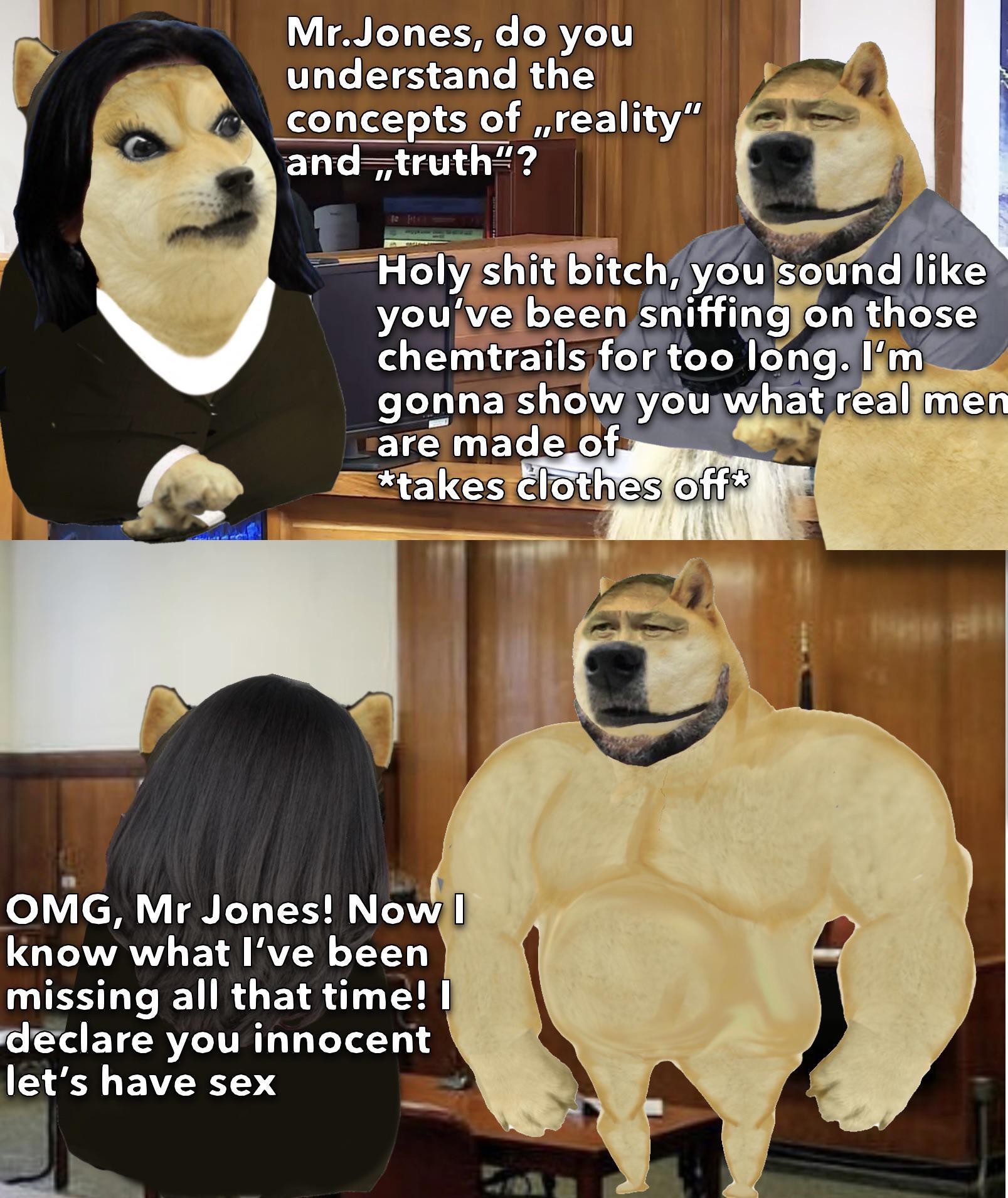 Le Alex Jones who wins a trial has arrived | /r/dogelore | Ironic Doge ...