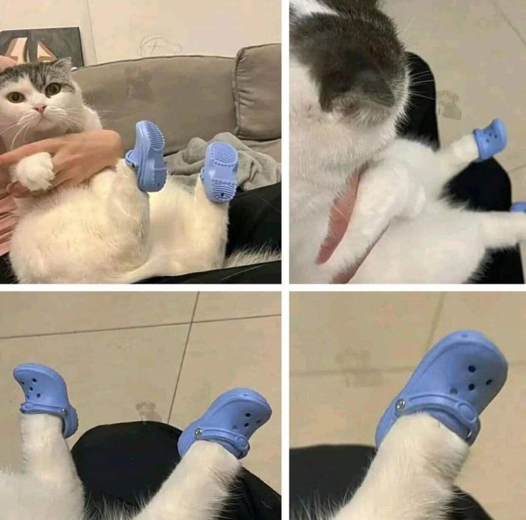 Making my way downtown walking fast | /r/wholesomememes | Wholesome ...