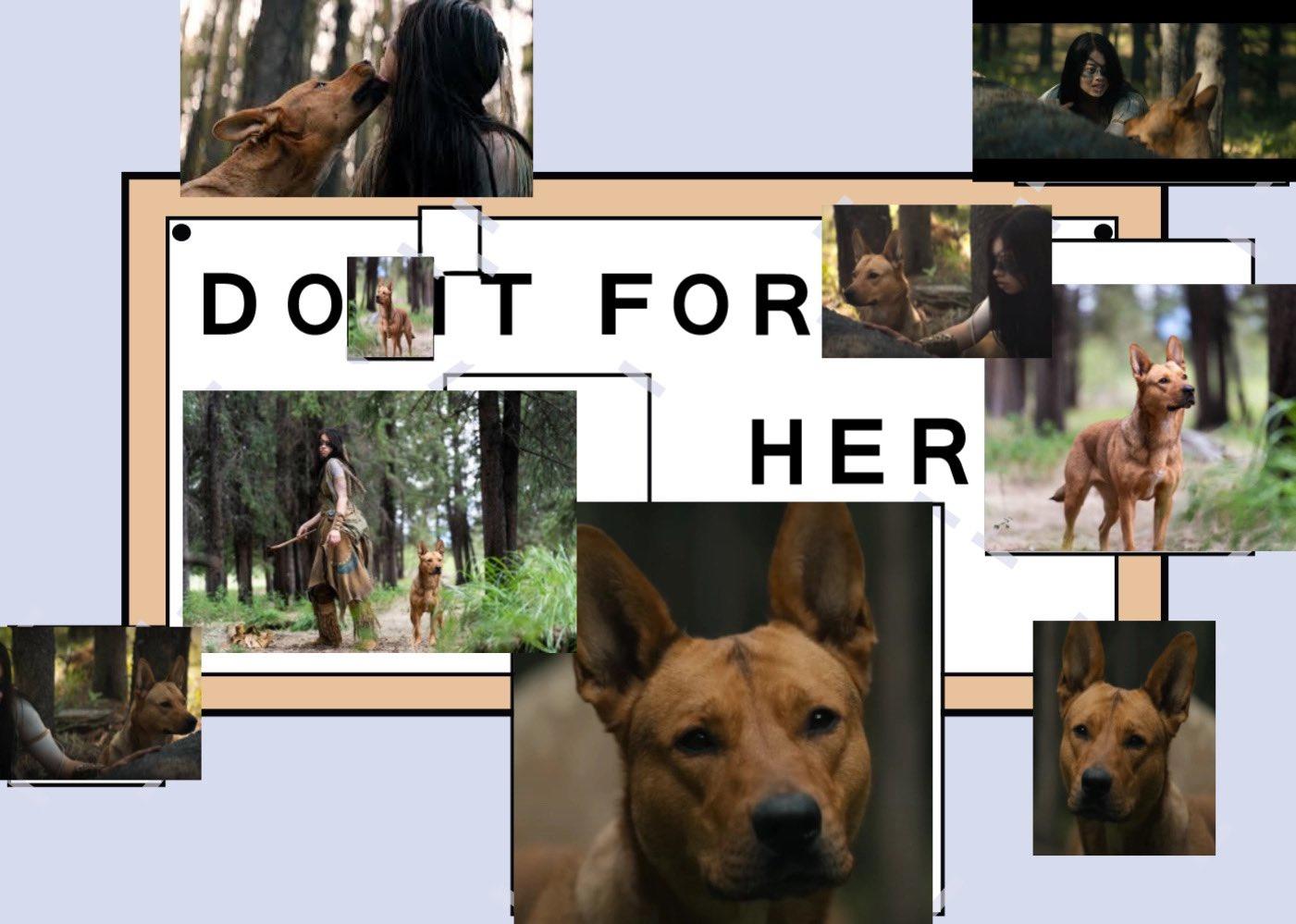 Do it for her | Prey (2022 Film) | Know Your Meme