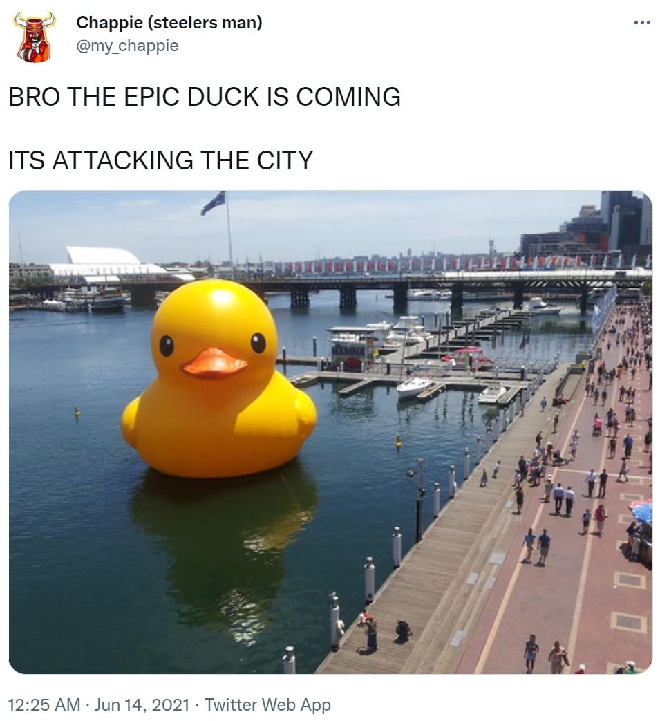 BRO THE EPIC DUCK IS COMING ITS ATTACKING THE CITY | Epic Duck / TEH ...