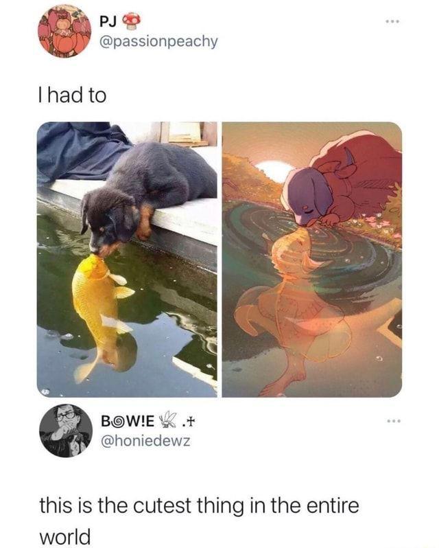 An unexpected meeting. | /r/wholesomememes | Wholesome Memes | Know ...