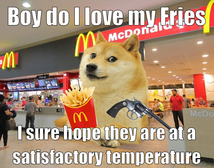 I wonder what he would do if they are too cold | /r/dogelore | Ironic ...