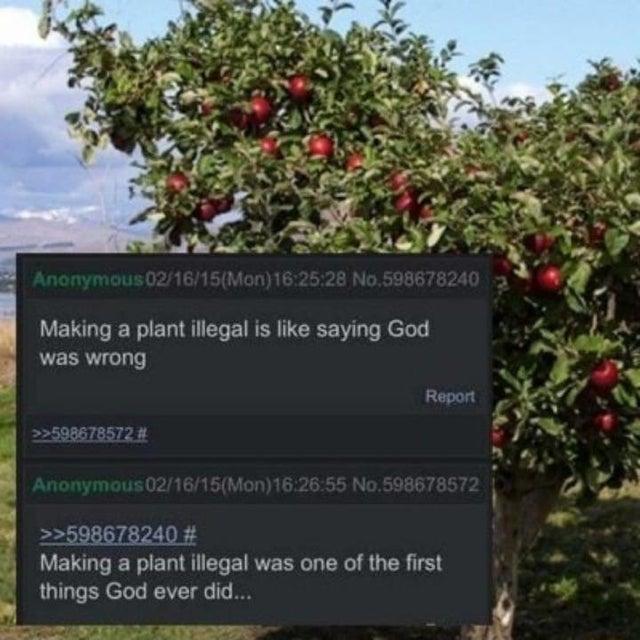 Policy Decisions | Know Your Meme