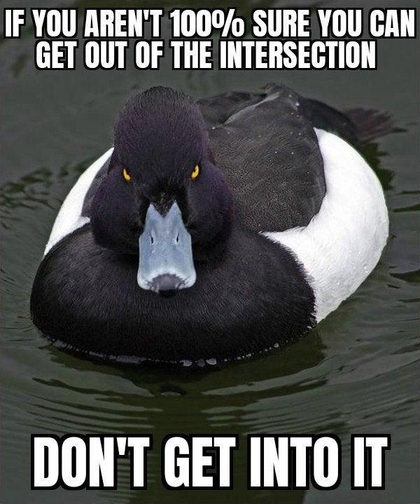 To Fellow Drivers | Advice Animals | Know Your Meme