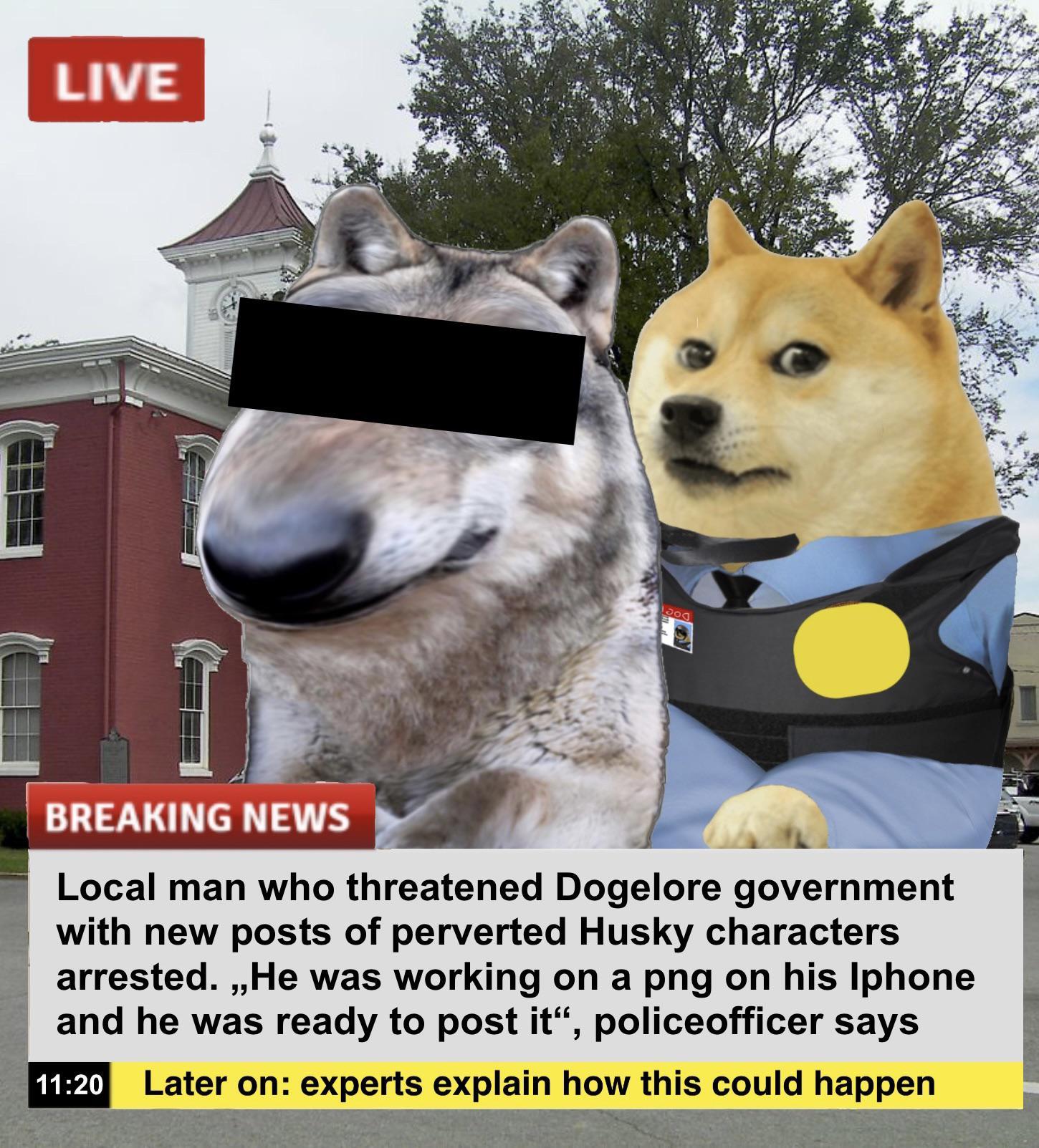 Le guy who posted the Jolene meme has arrived | /r/dogelore | Ironic ...