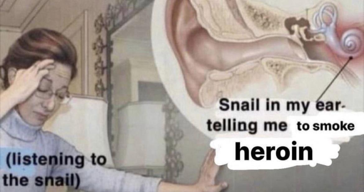What a silly guy | /r/okbuddyretard | Snail in My Ear Telling Me | Know ...