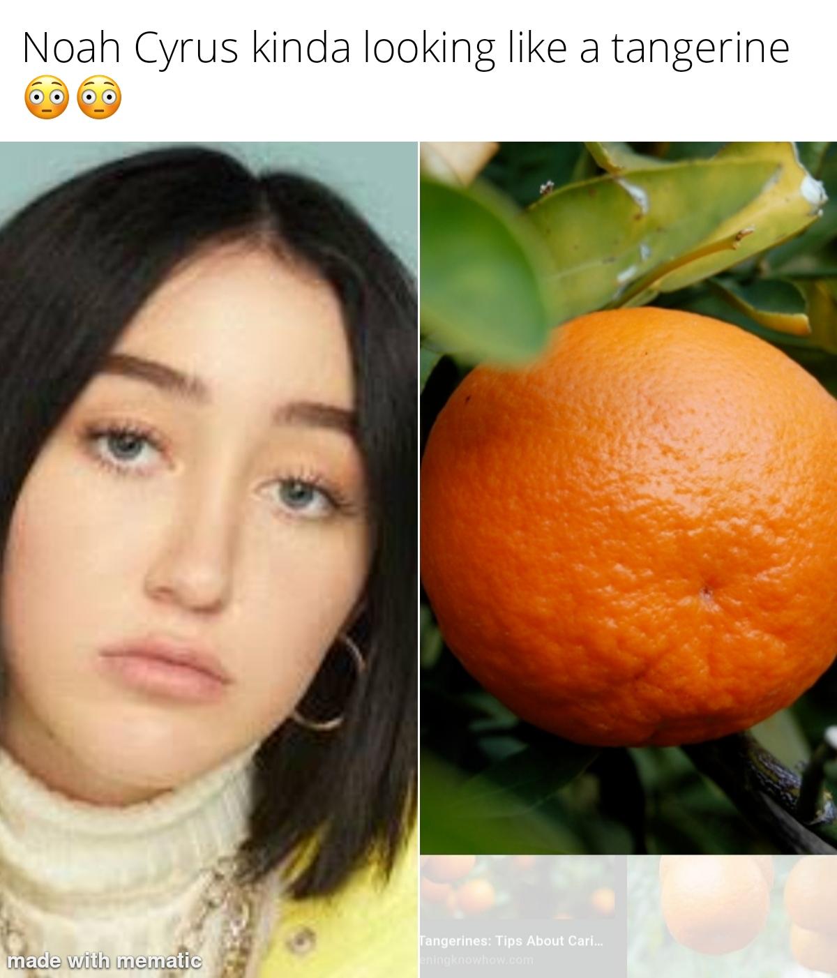 annoying orange making a comeback | /r/okbuddyretard | OkBuddyRetard ...