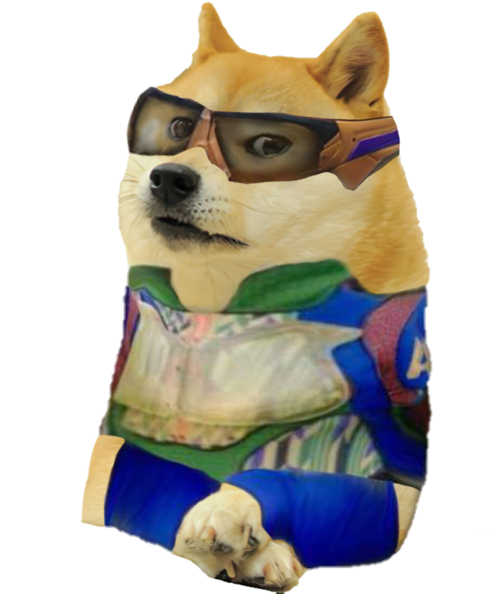 Le A-Train has arrived | /r/dogelore | Ironic Doge Memes | Know Your Meme