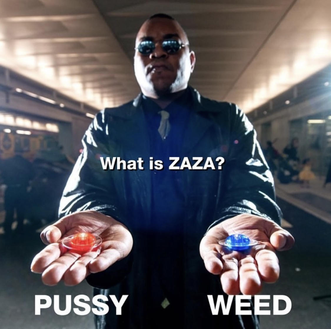 Zaza Means Pussy Meme | Zaza Means Pussy | Know Your Meme