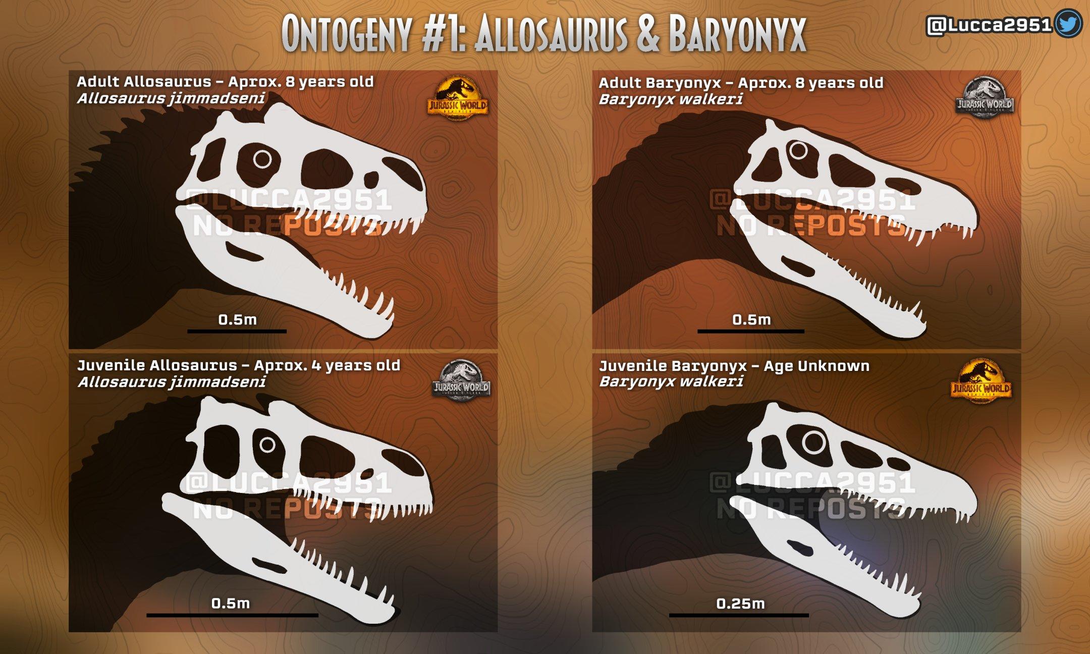 Jurassic park allosaurus skeletal | Jurassic Park | Know Your Meme