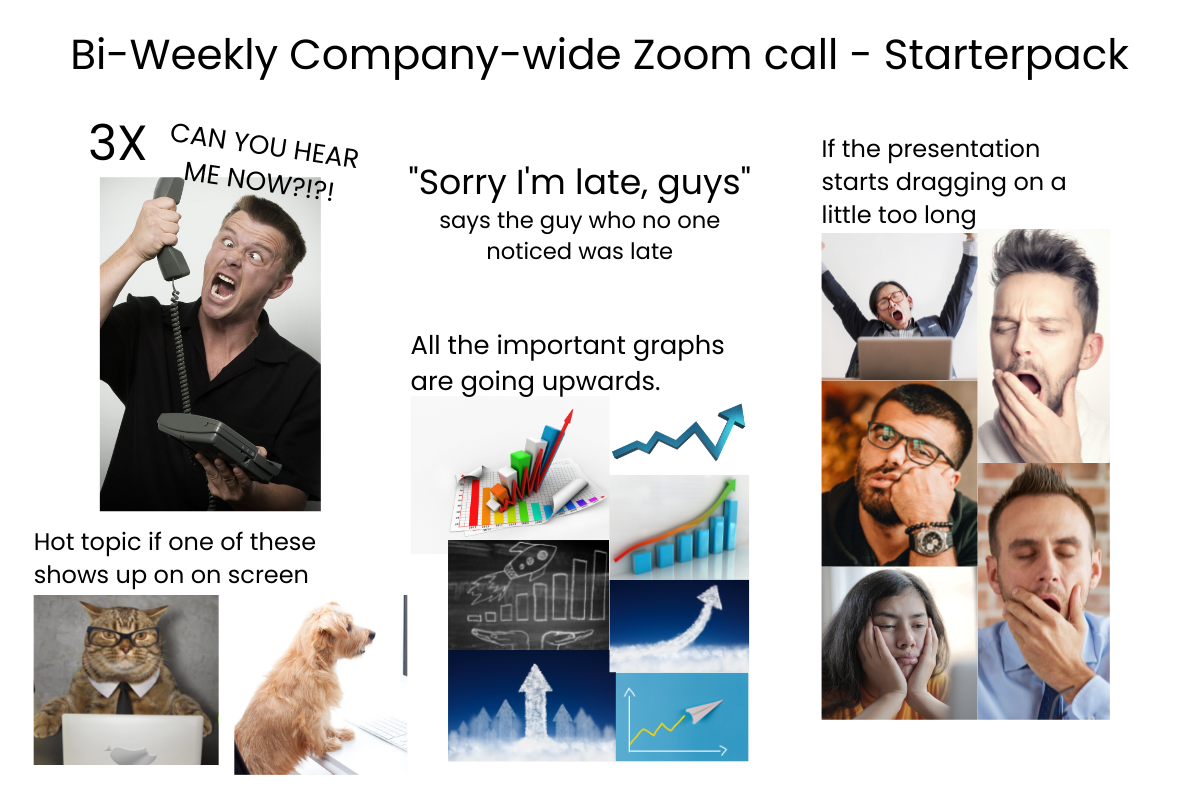 Biweekly Company-wide Zoom Call - Starterpack | /r/starterpacks ...
