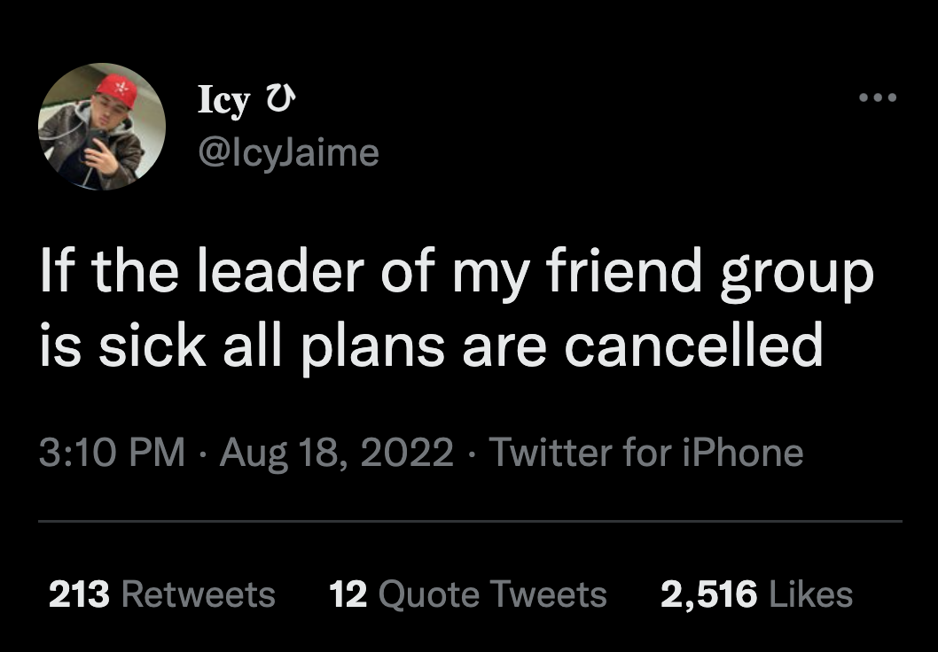 Leader Of The Friend Group Memes | Leader Of The Friend Group | Know ...
