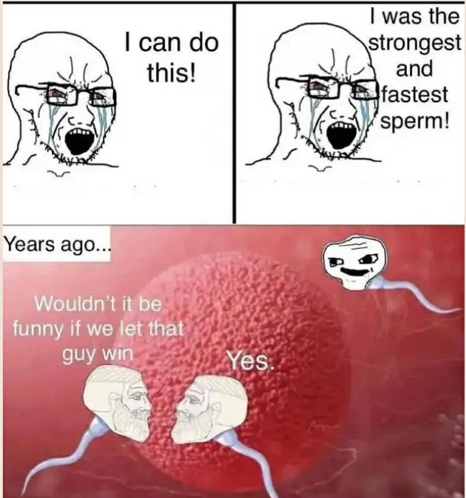 Cool Prank Bro | Brainlet | Know Your Meme