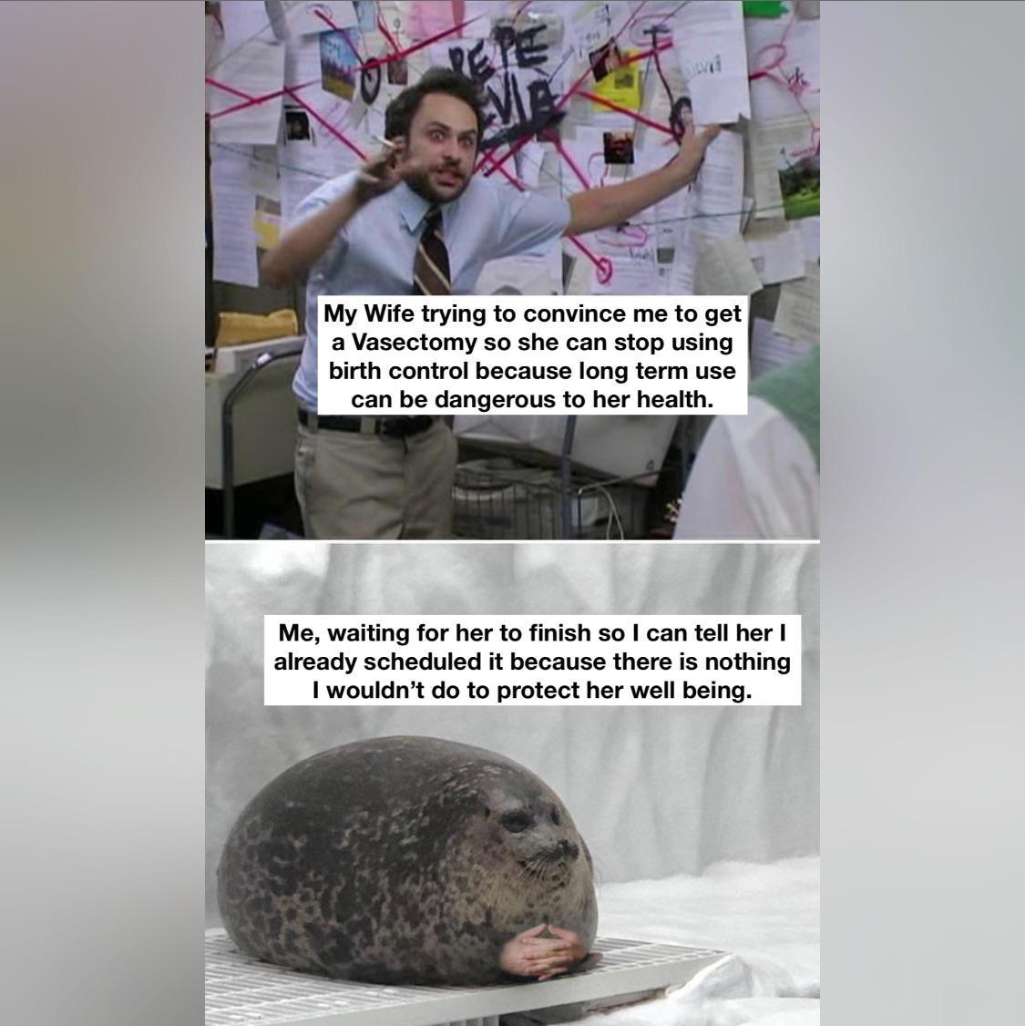 No hesitation : ) | /r/wholesomememes | Wholesome Memes | Know Your Meme