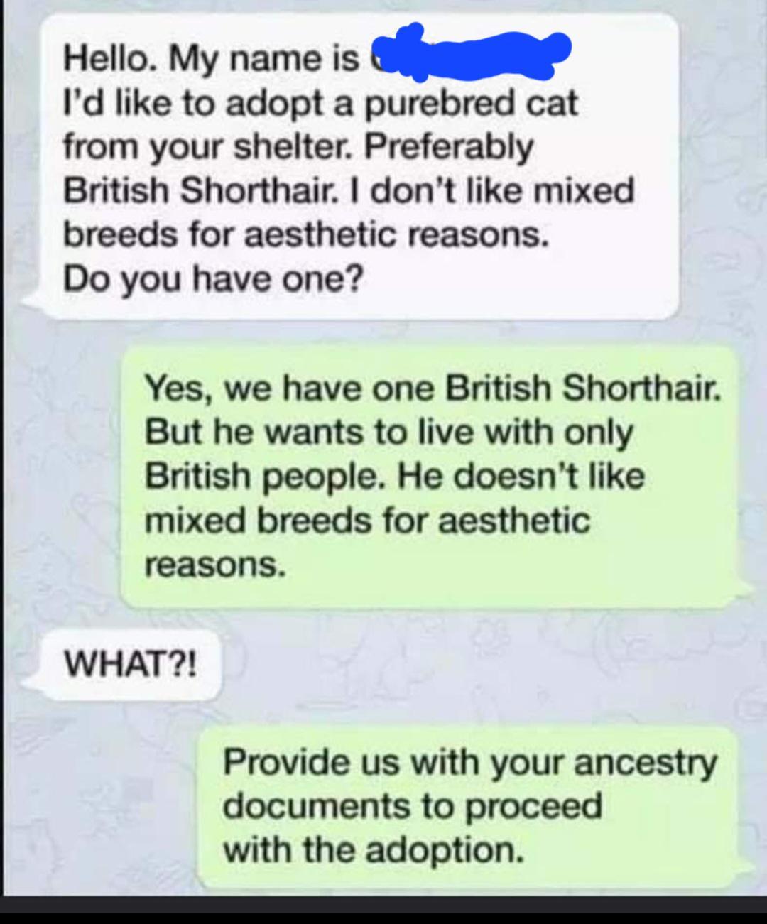 Purebred Karen | /r/FuckYouKaren | Karen | Know Your Meme